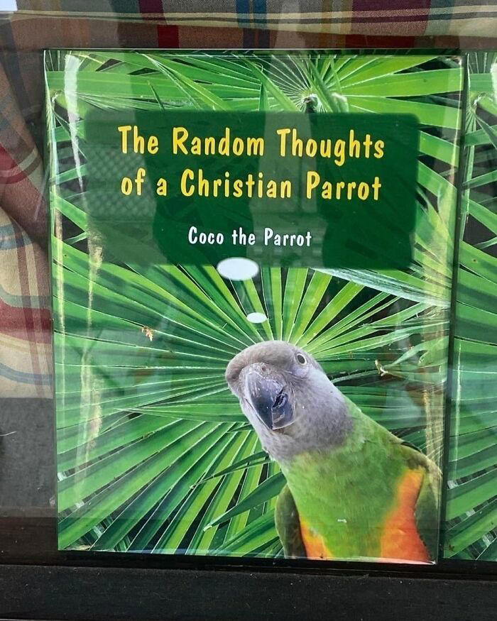 18 times people were 'lucky' to find these gems while thrifting that ...