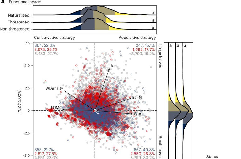 Fast-growing trees are taking over the forests of the future and ...