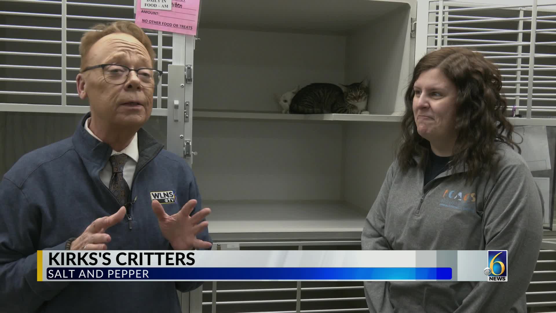 Kirk's critters: Ice Force One and Winter Warrior