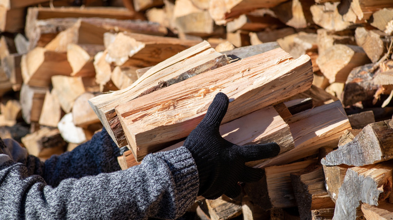 Stop! These Types of Firewood Should Never Touch Your Fireplace