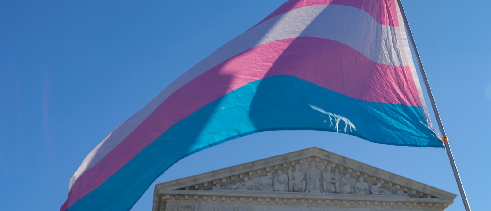 Exclusive: Blue state privately admitted men lie about being 'trans' to ...