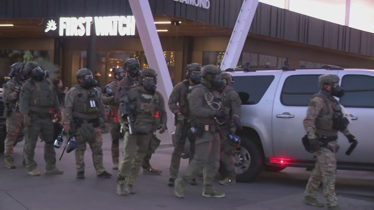 More than 35 arrests announced following HSI raids at Zipps locations ...