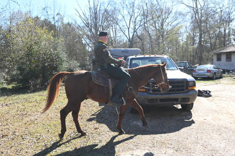 Pike County deputies save four horses from poor conditions