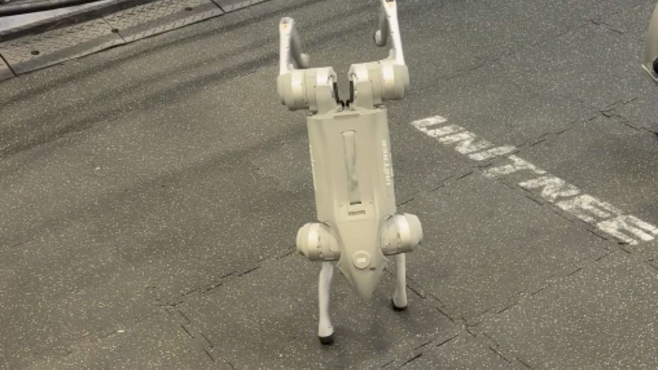 Impressive footage of robot dog balancing on its front paws during a ...