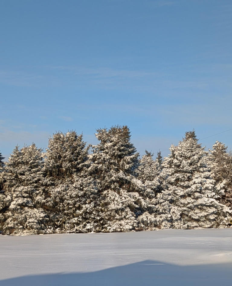 Photo gallery: Snow day fun from NW Ohio and SE Michigan during the ...