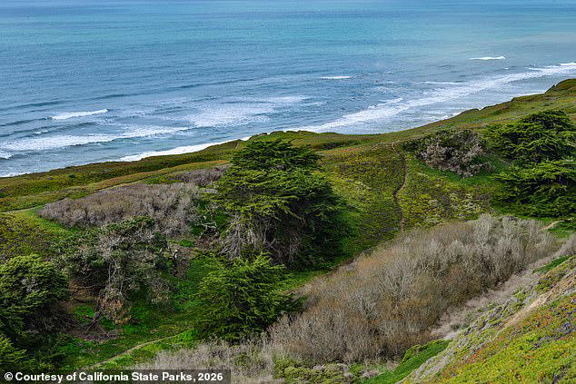 California beach town up in arms over metal fence erected by convicted ...