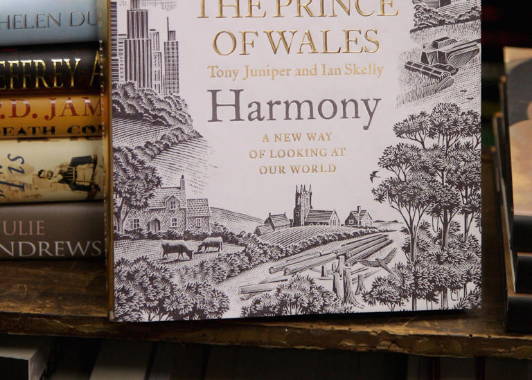 Charles 'wasn't going to be diverted' from green issues, Prime Video ...