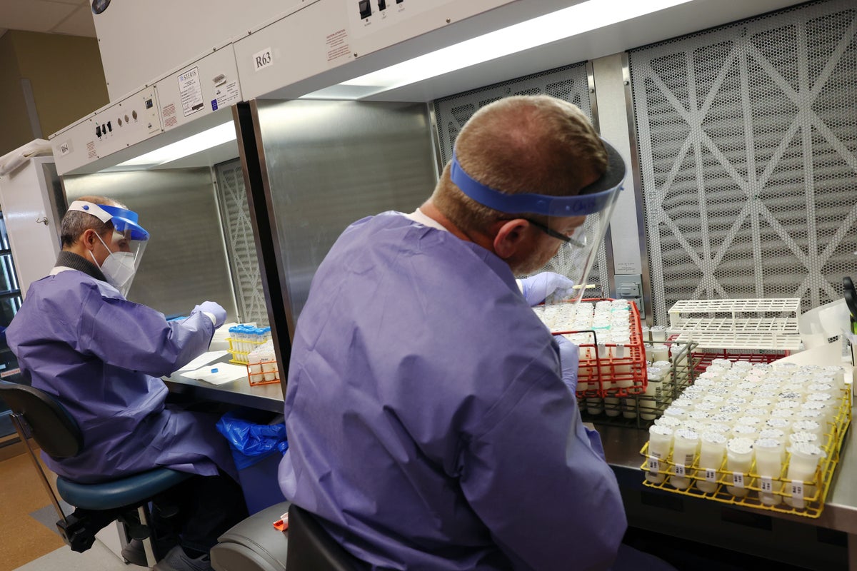 These two viruses could be the next 'major' public health threats