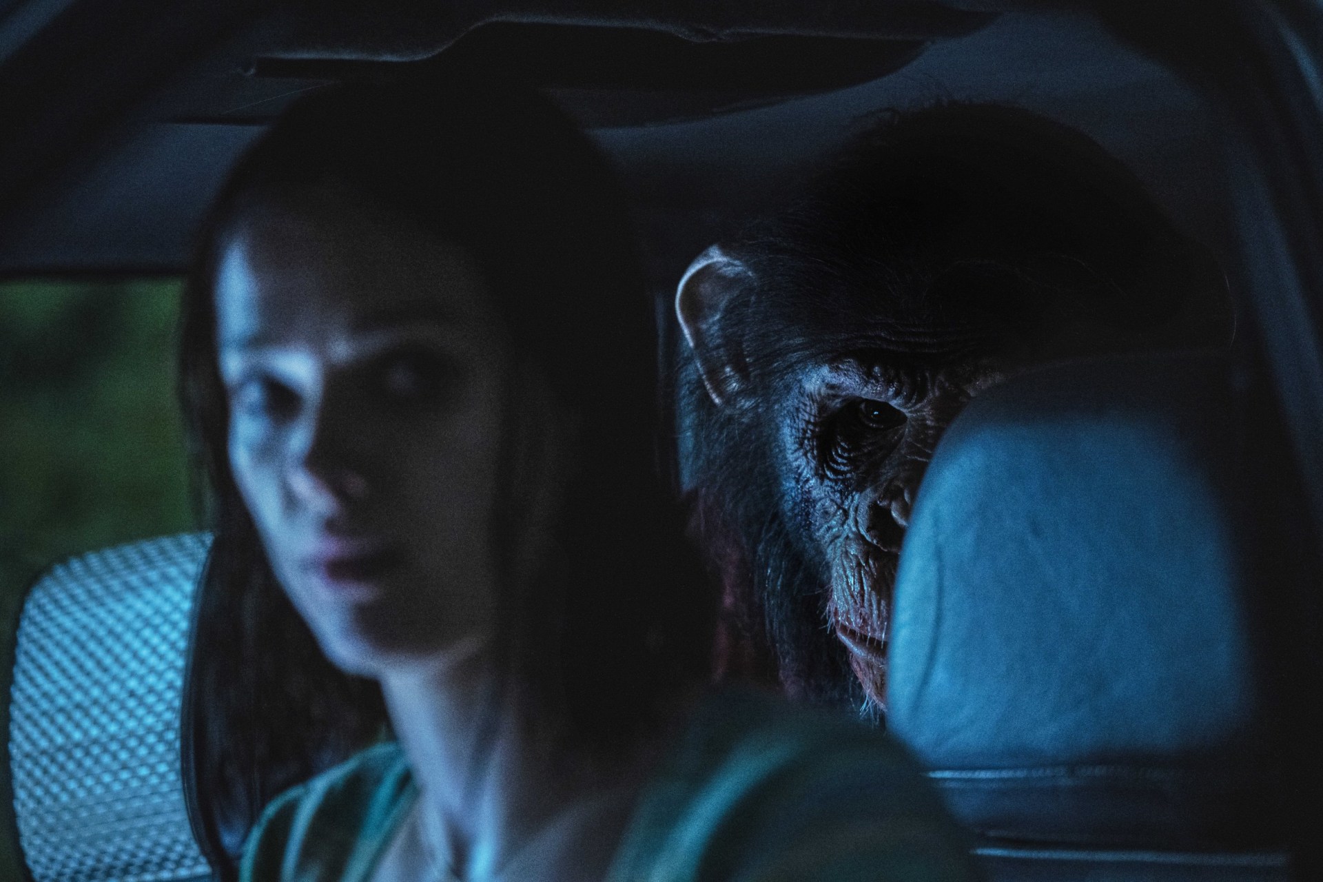 Primate: A bloody and thrilling horror blockbuster