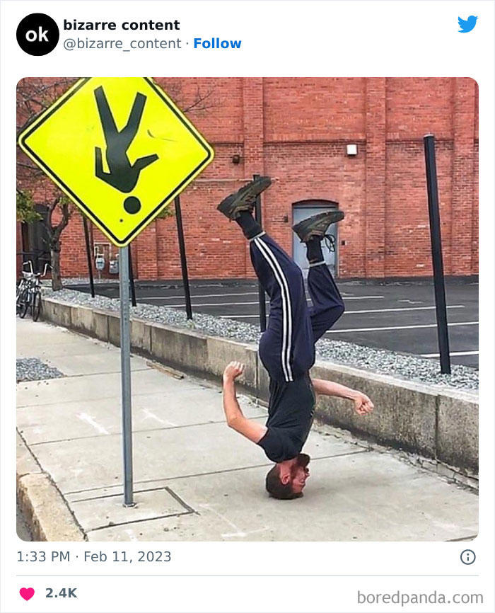 43 unexplainable posts from the “Bizarre Content” Twitter page that are ...