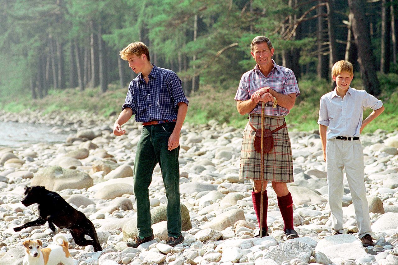 Prince Harry makes surprise appearance in King Charles' new documentary