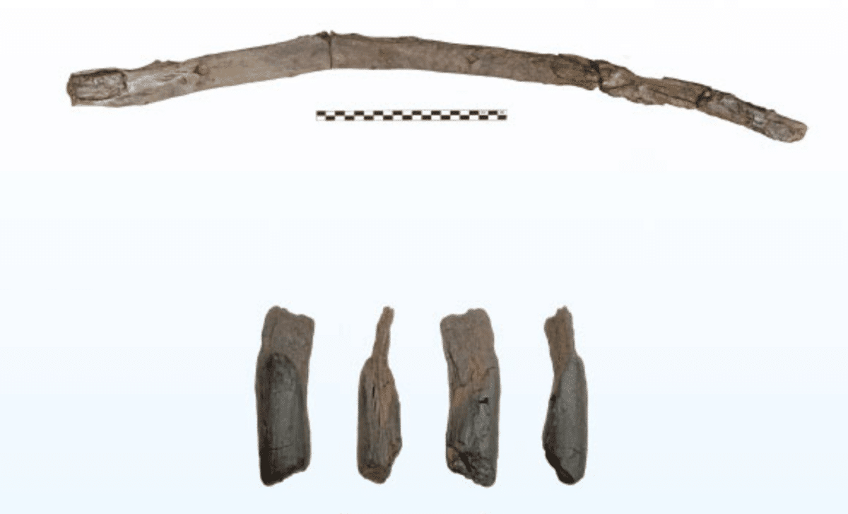 Archaeologists discover world’s oldest wooden tools in Greece, changing ...