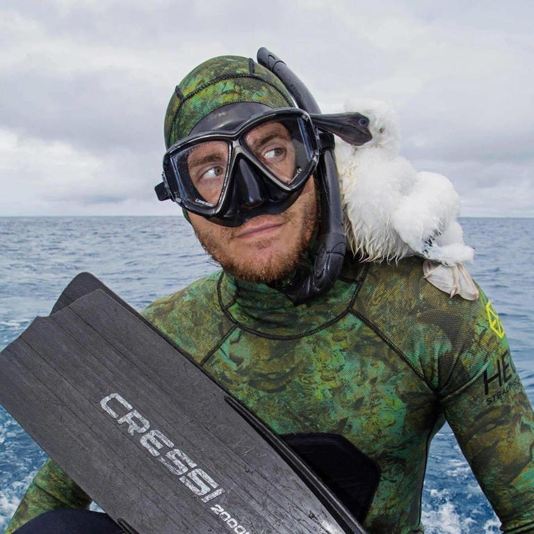 Diver feels 'touch' on his shoulder and realizes a baby bird is ...