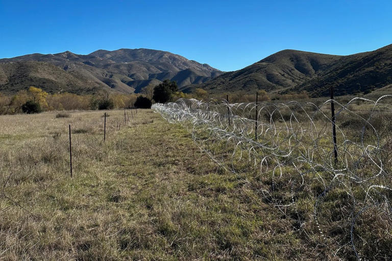 San Diego sues federal agencies over razor wire fencing on city land
