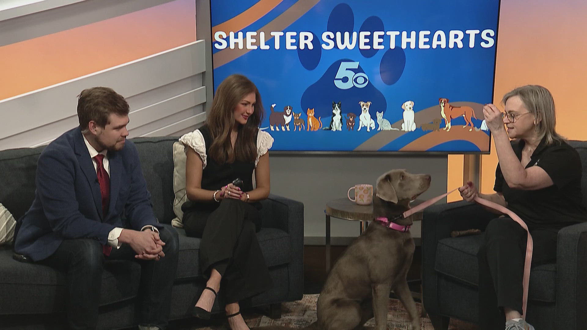 Shelter sweethearts: Meet Dory from Best Friends Pet Resource Center