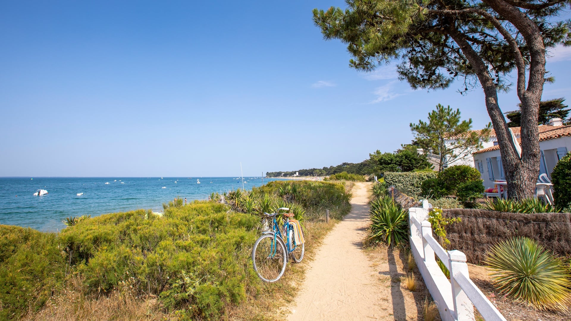 Cette auteure détrône Mélissa da Costa, c’est aujourd’hui la plus ...