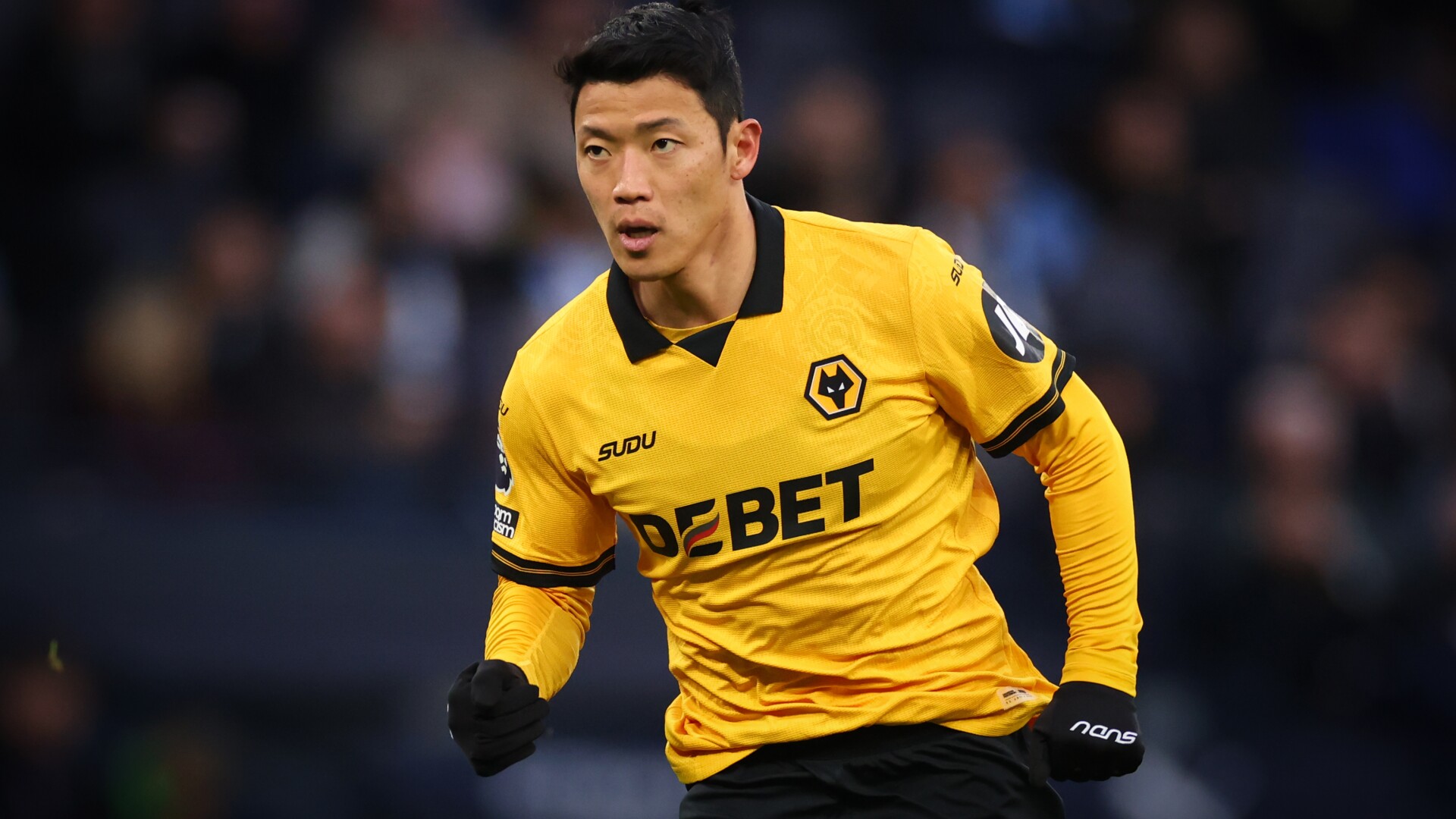 How to watch Wolves vs Bournemouth live: Stream link, TV channel ...