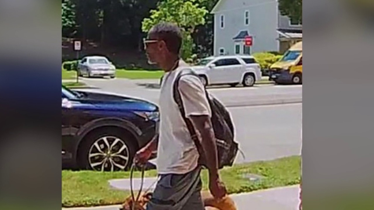 Police looking for man believed to have strangled 2 dogs