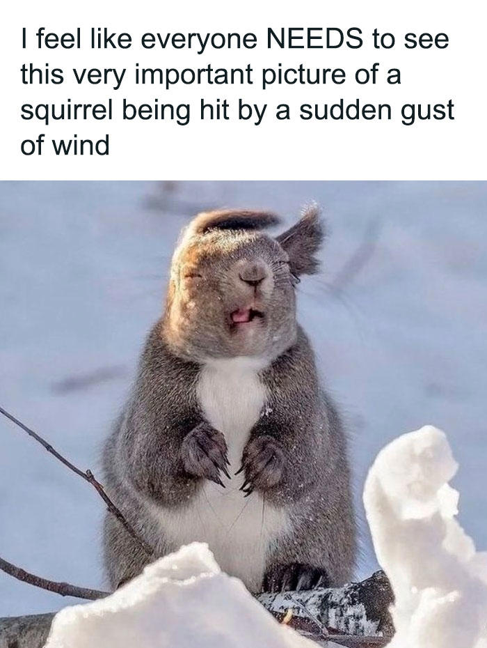 73 memes with absolutely no filter that may make your jaw drop in shock