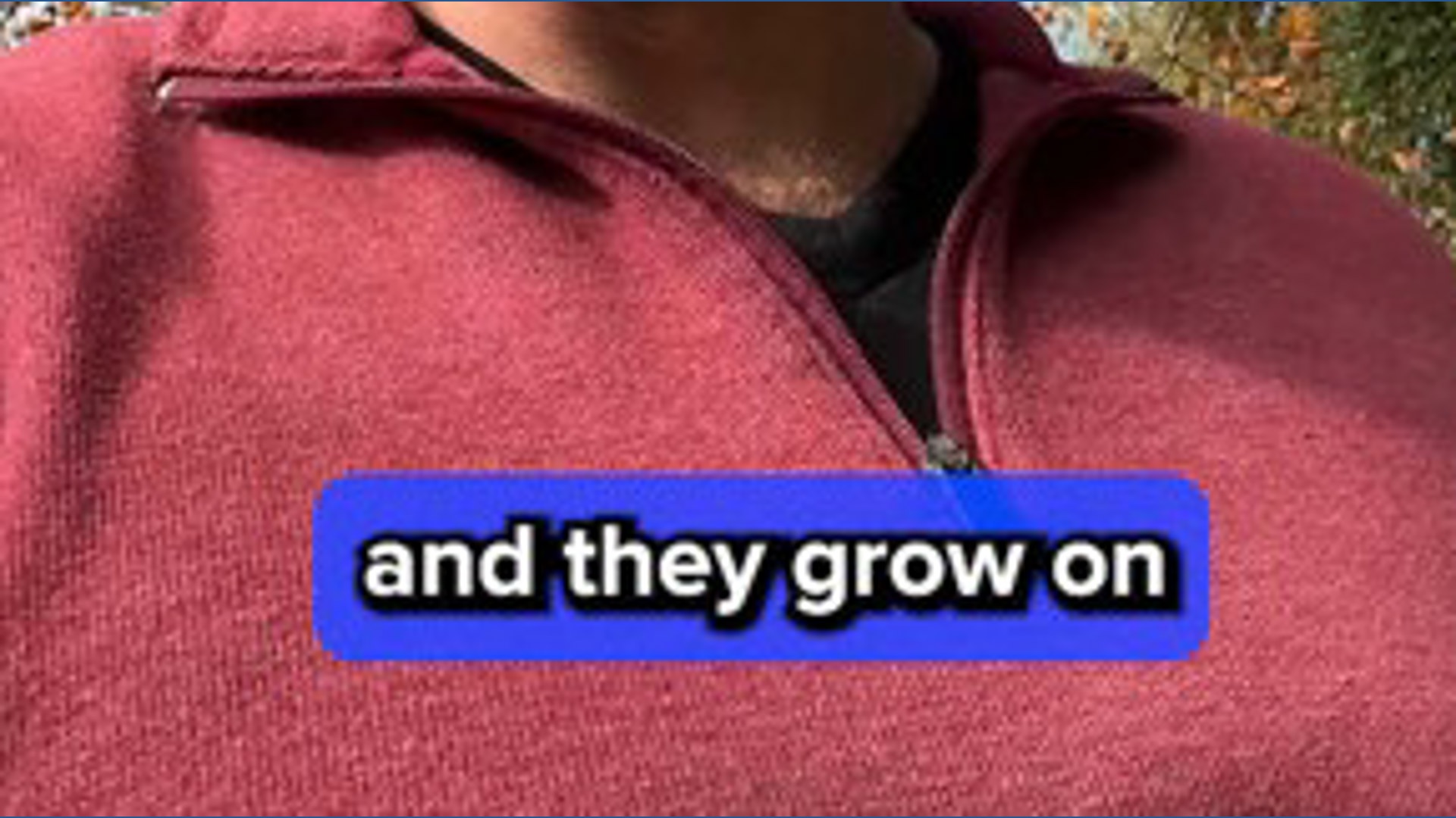 Worlds Oldest Trees: Bristlecone Pine Forest