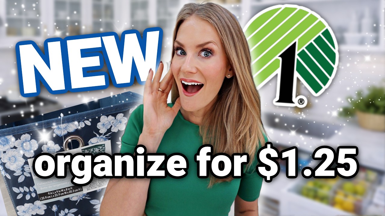 New Dollar Tree 2026 organization for your entire house!