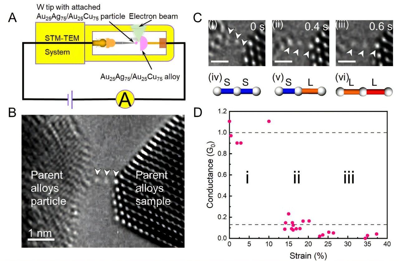Record stretching of metallic bond reveals quantum conductance in gold ...