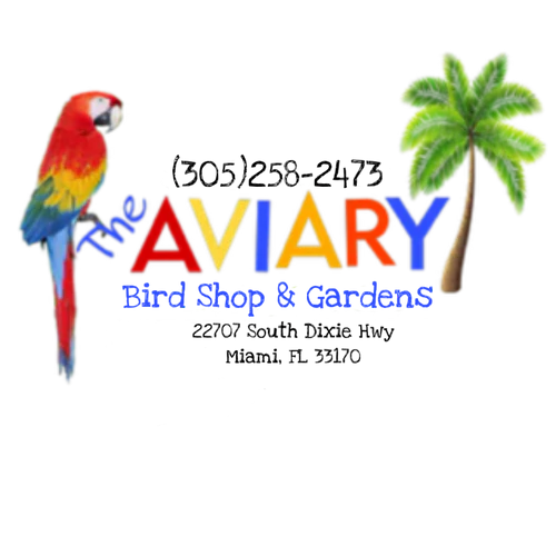From South Florida and beyond, bird owners feel at home at The Aviary ...