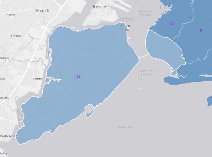Malliotakis appeals court decision to toss existing NY-11 district map
