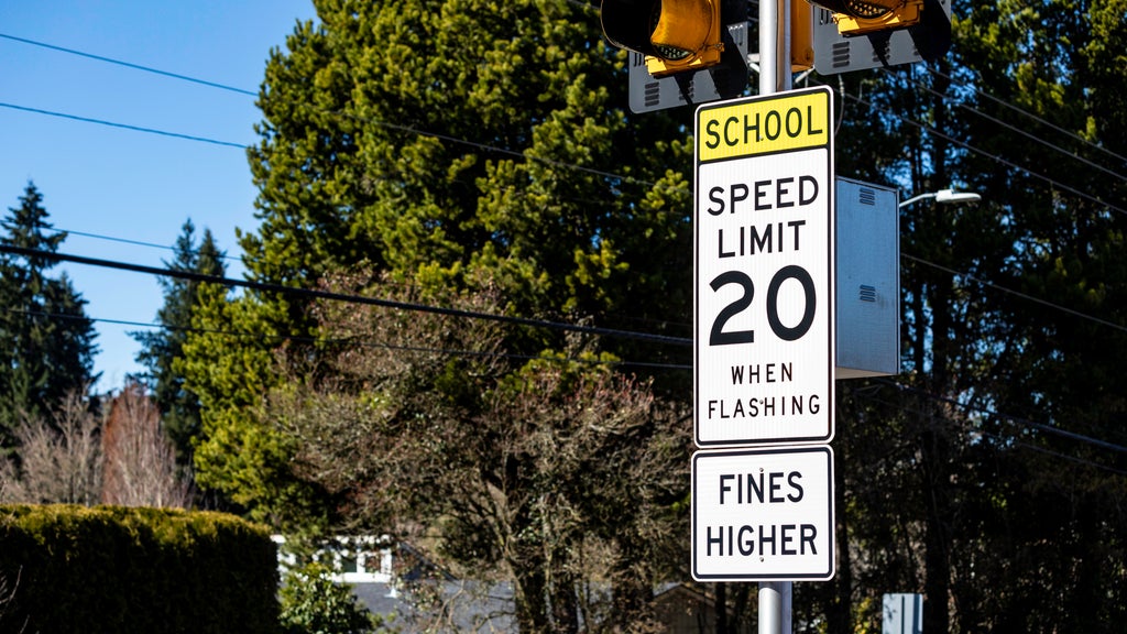 More than 1,300 speeding tickets issued in Colorado in construction ...