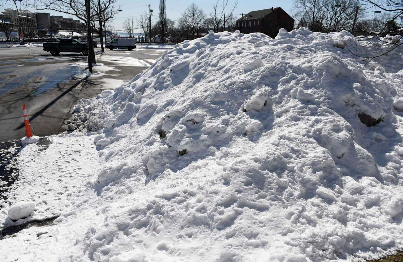 What are snow fleas? Here's what to know about the tiny, black bugs ...