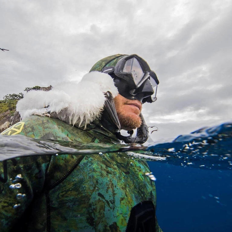 Diver feels 'touch' on his shoulder and realizes a baby bird is ...