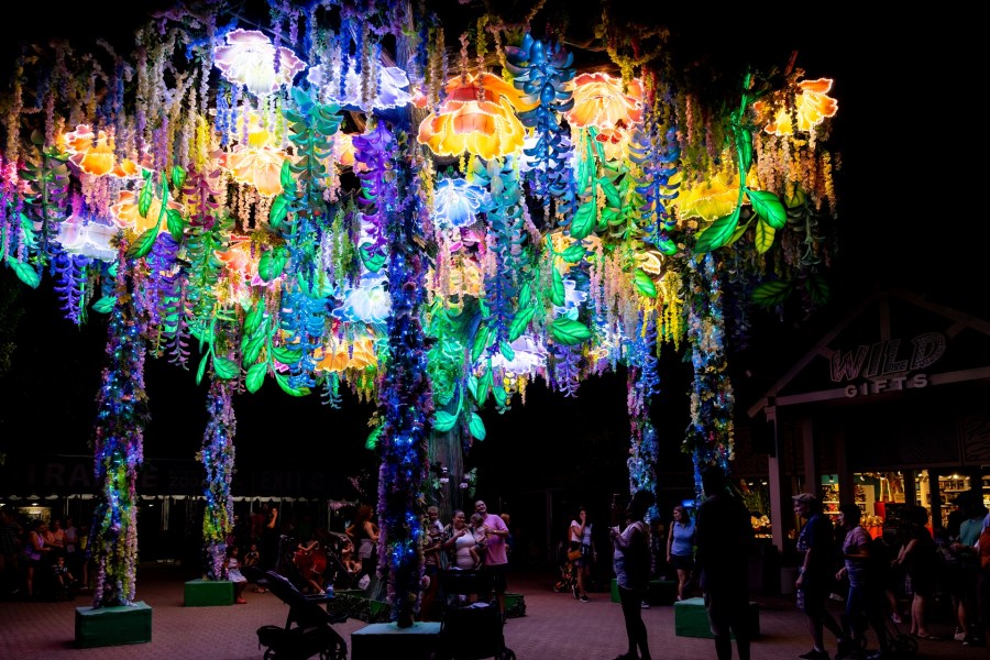 Animals Aglow returns to Saint Louis Zoo this spring