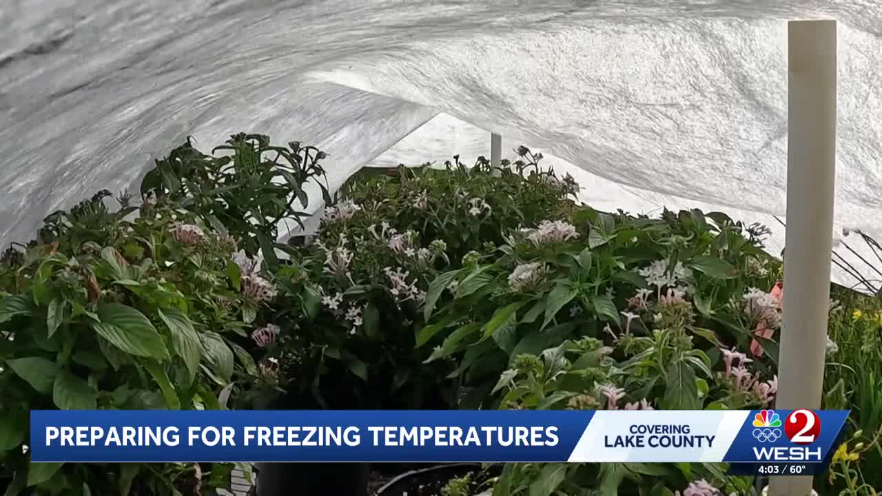 Central Florida's cold snap: Everything to know about dangerous temps ...