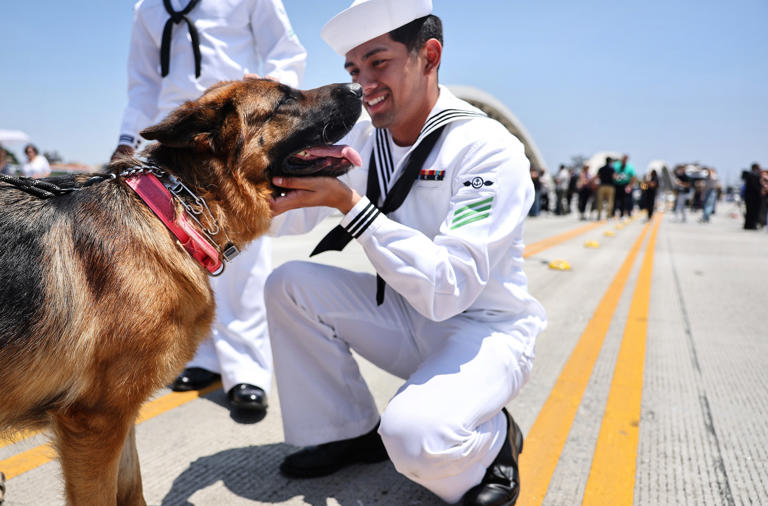 These two viruses could be the next 'major' public health threats