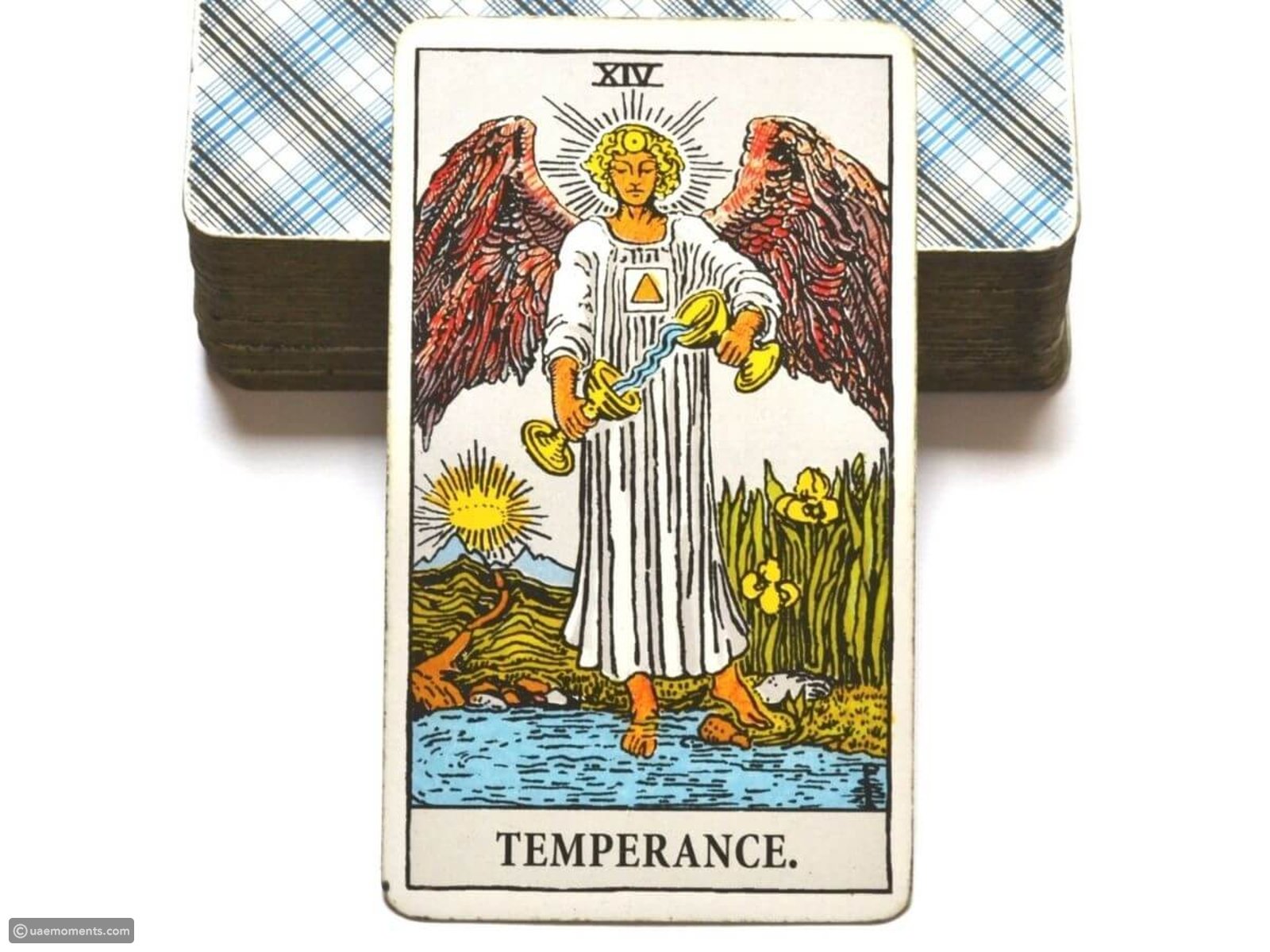 Your daily love tarot reading for May 29th, 2026