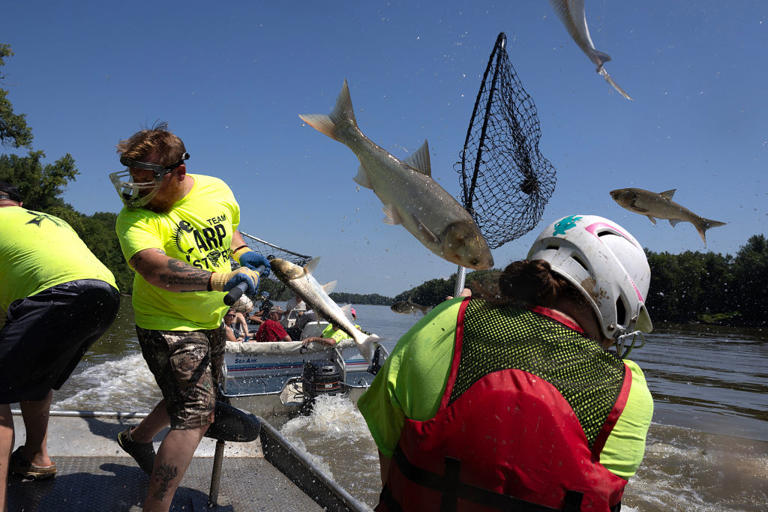 Biologists pull 100,000 pounds of invasive fish species out of Kansas River