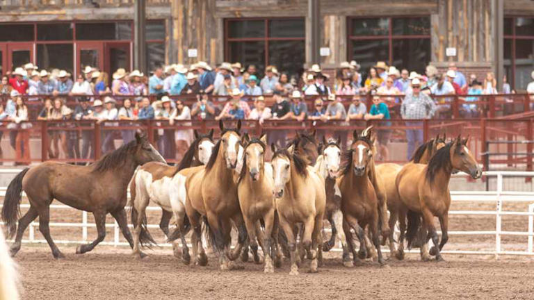 PRCA board surprisingly votes on moving headquarters and Hall of Fame ...