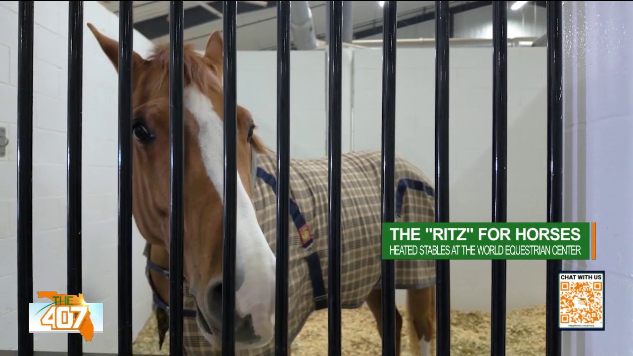 World Equestrian Center keeps horses comfortable during cold snap