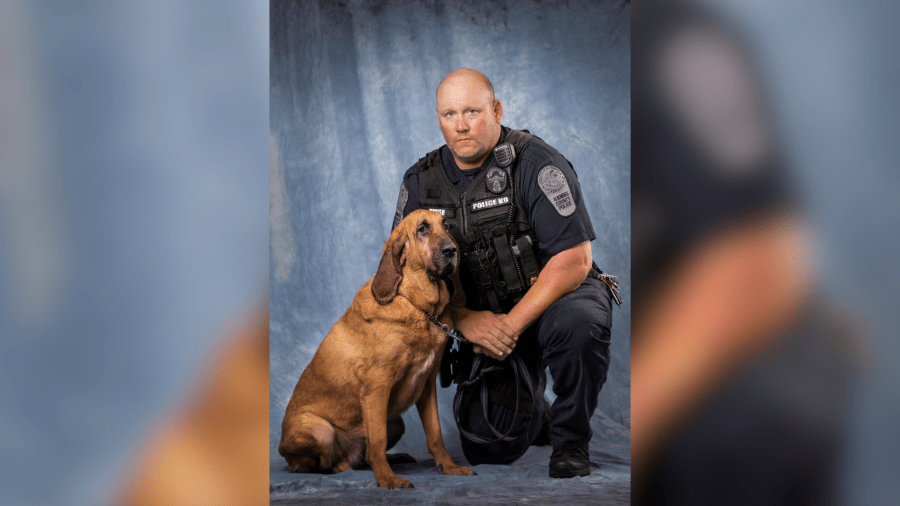 Albemarle K-9 dies from medical emergency complications