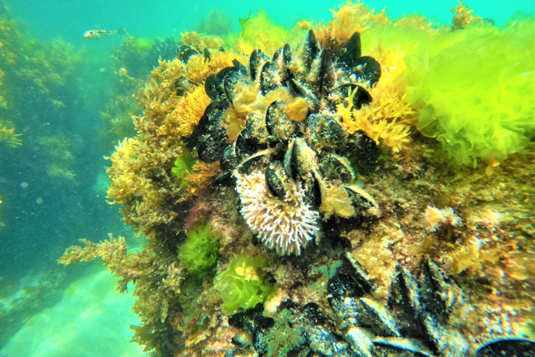 Another proposed fishing ban at Aussie hotspot sparks controversy