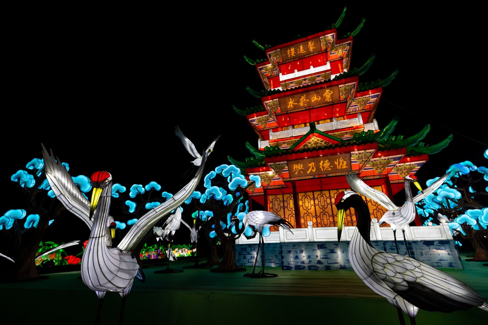 Animals Aglow returns to Saint Louis Zoo