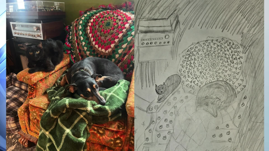 Wisconsin Humane Society hosts fun Poorly Drawn Pets fundraiser