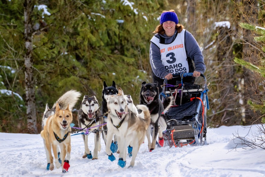 Utah Dog Sled Racers Gear Up for Warm Lake Stage Race in Idaho