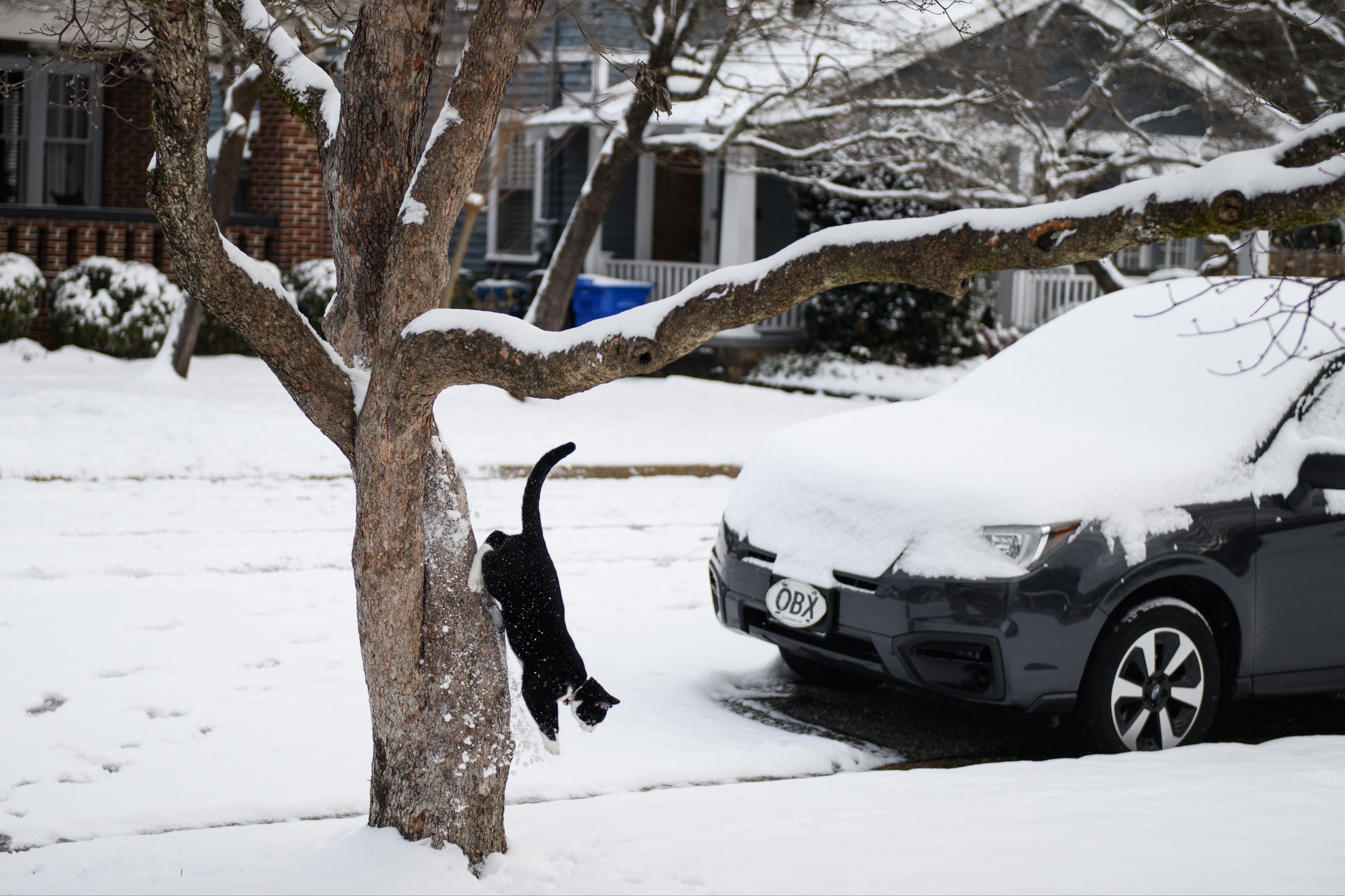 What's the latest on Fayetteville's chances for snow this weekend?