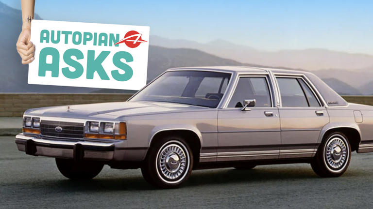 What cars are you always happy to see?