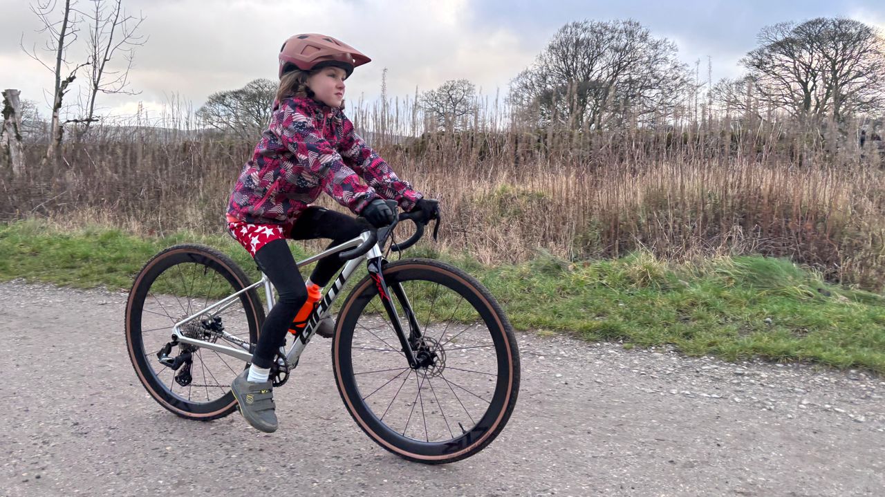 Giant Seek 1 review: is this the ultimate mini road bike for your ...