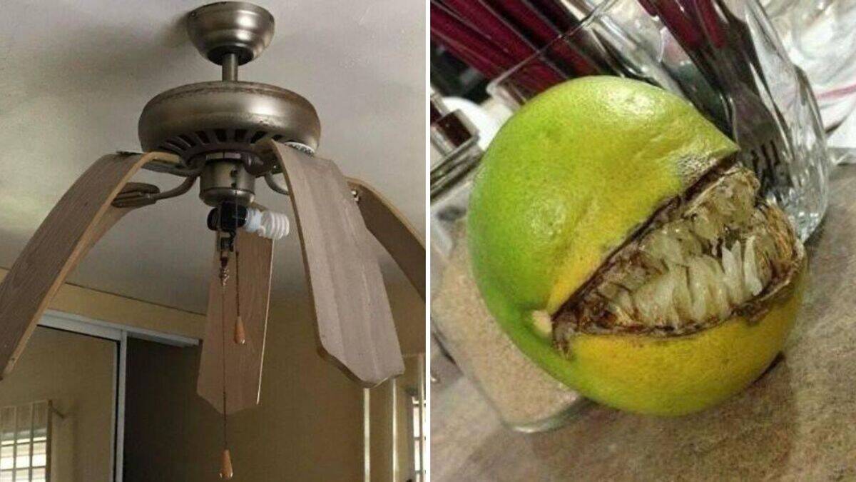 40+ photos of things most people would only see once in a lifetime