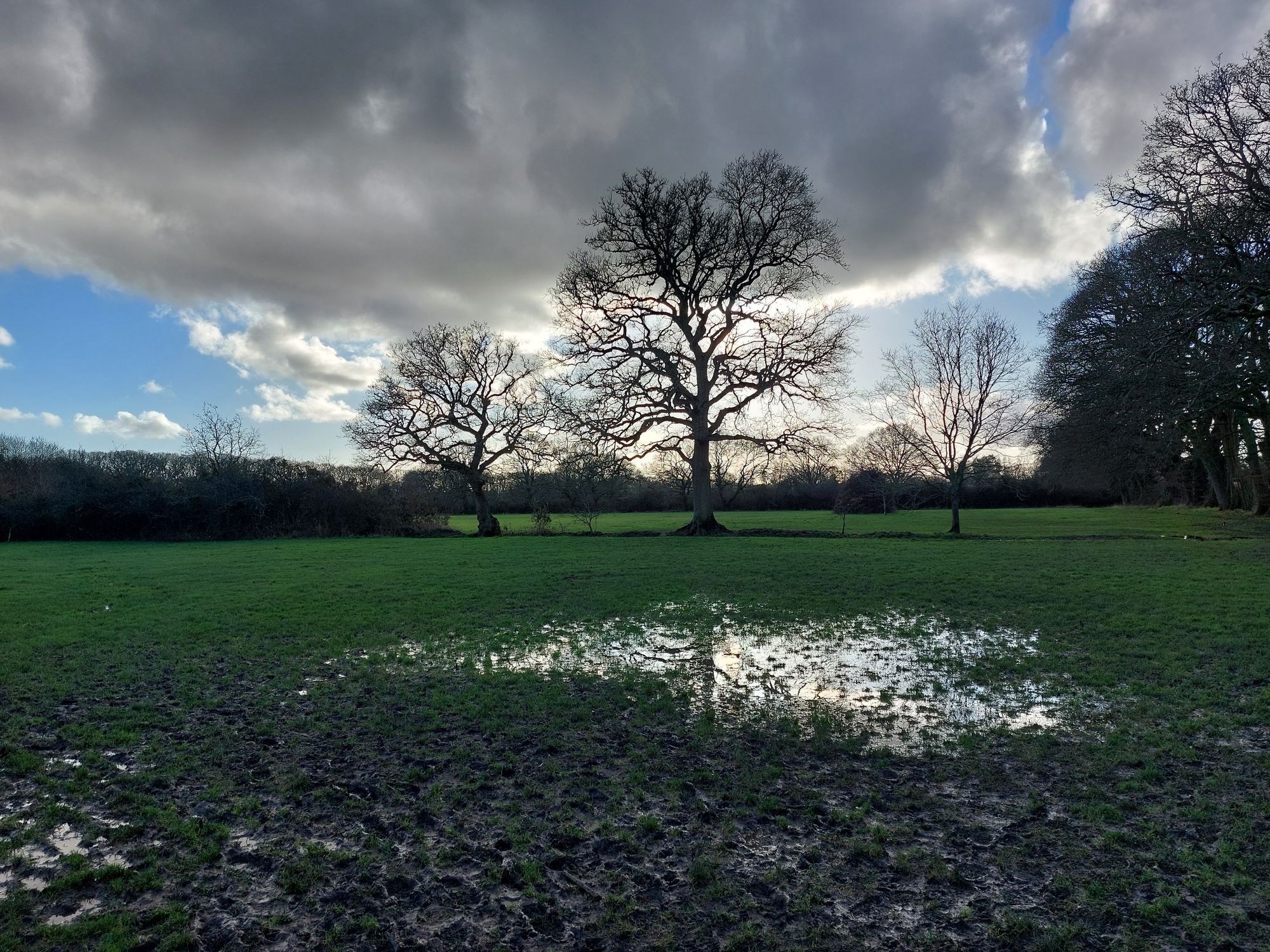 Popular dog walking area to close with sewage discharges making the ...