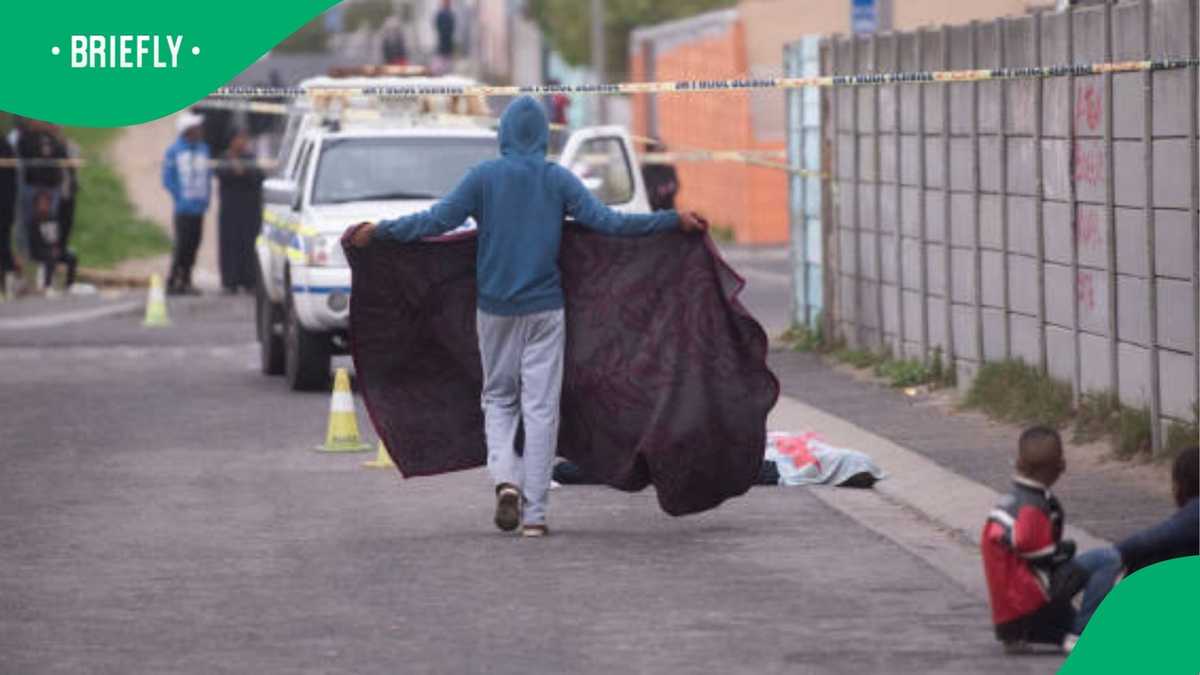 Urgent call for action as gang violence claims 195 lives in Western Cape