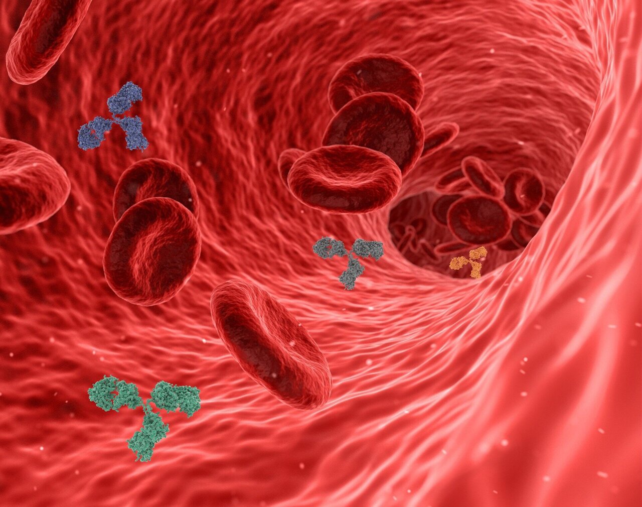 Cell surface glycoRNA clusters found to fine-tune growth factor signaling